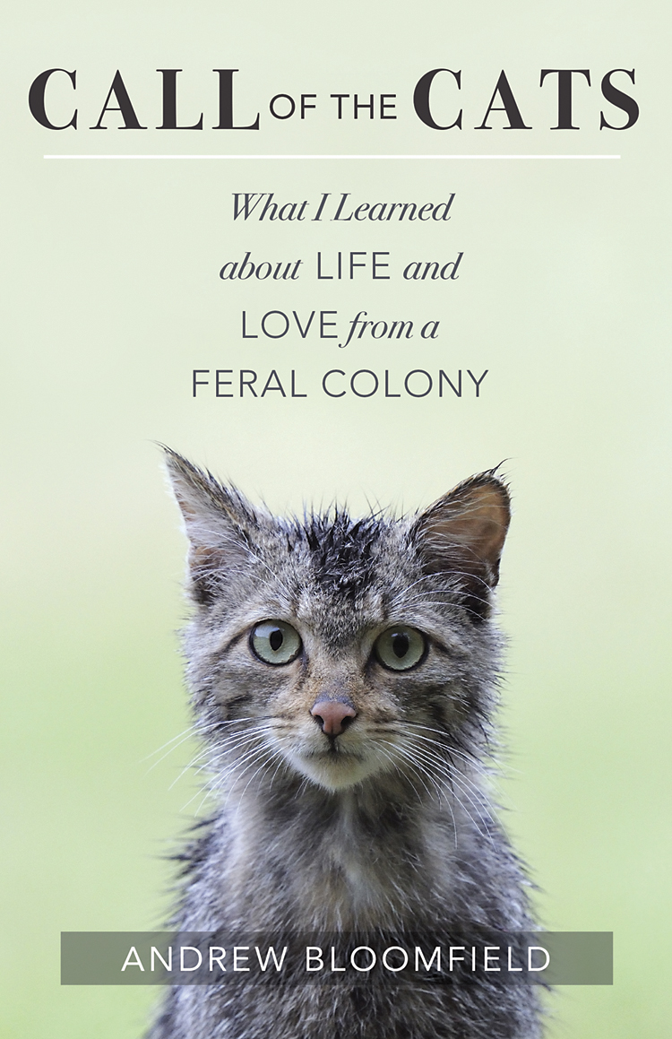 Be Here Meow From Book Call of the Cats By Andrew Bloomfield